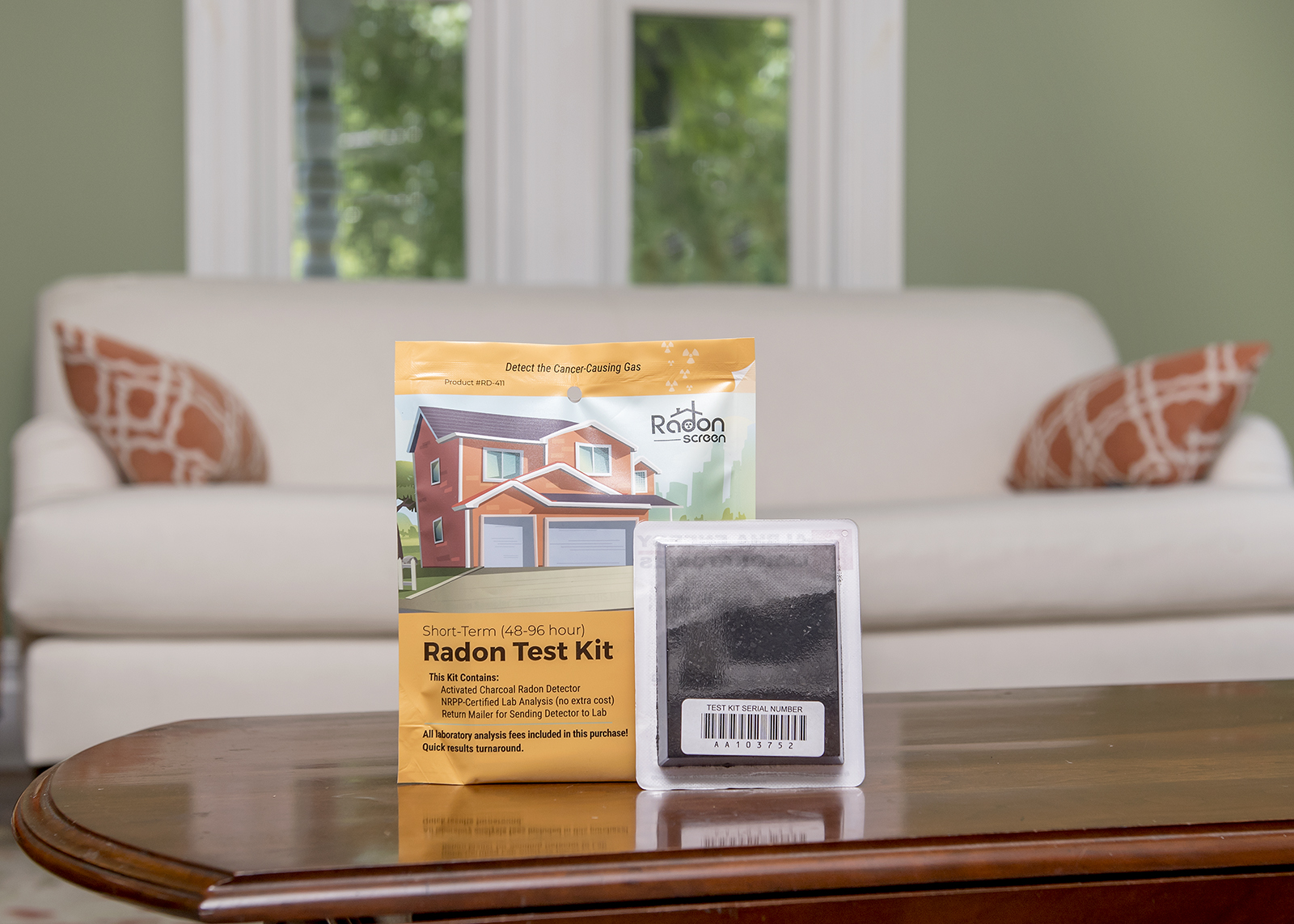 How It Works ☢️ RadonScreen